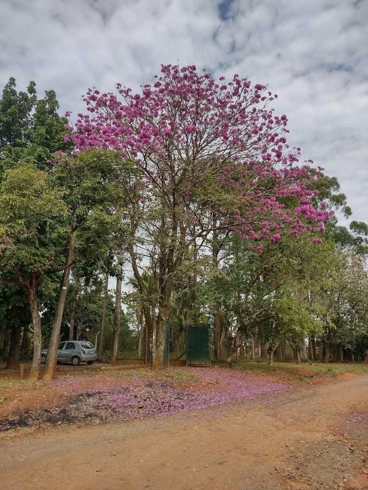 VENDE-SE CHACARA BAIRRO UIRAPURU EM COSMÓPOLIS/SP. - 7644